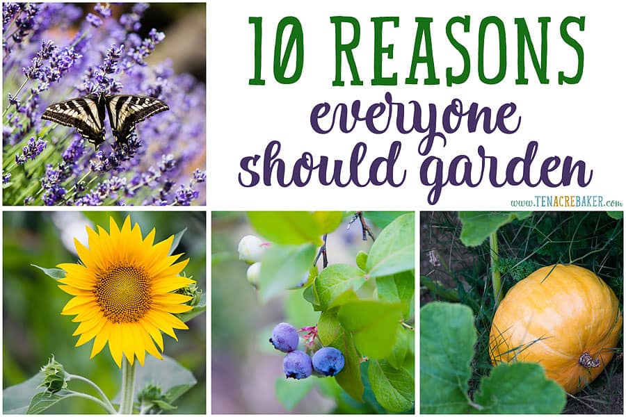 Top 10 Reasons Why Everyone Should Garden | Ten Acre Baker